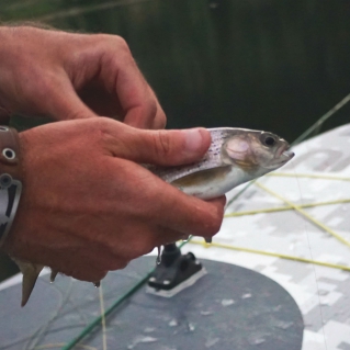 Fishing Like an Osprey | Duct Tape Diaries | NRS