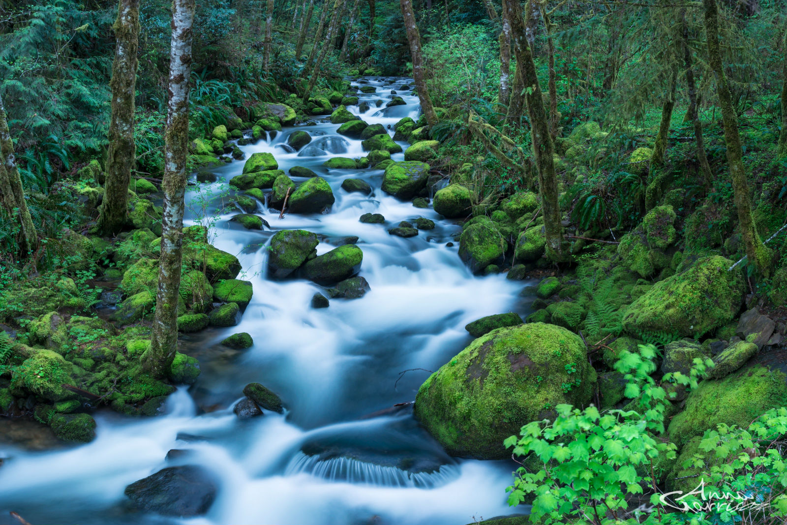 Wild & Scenic Rivers 107 | Duct Tape Diaries | NRS