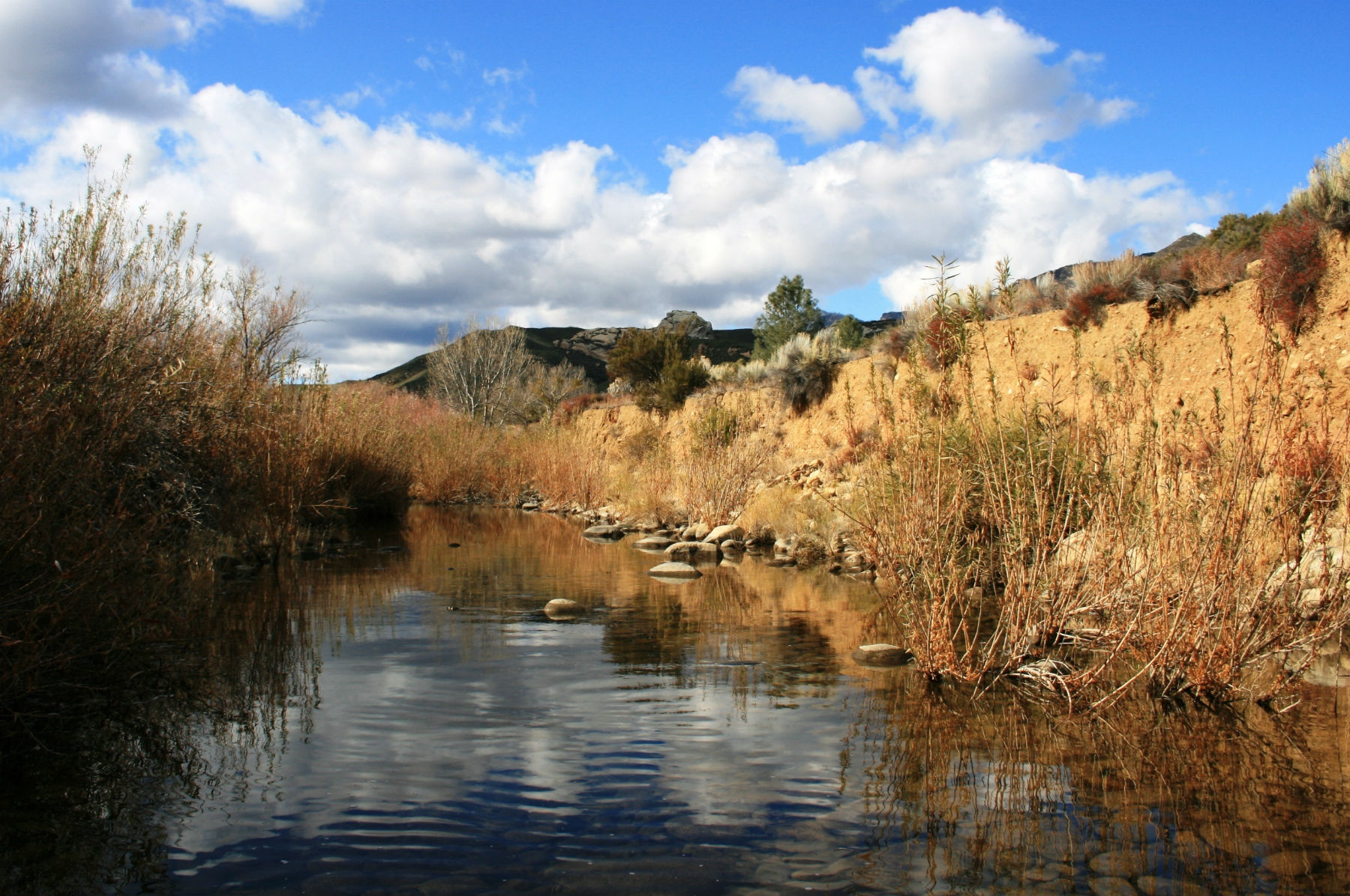 Wild & Scenic Rivers 110 | Duct Tape Diaries | NRS