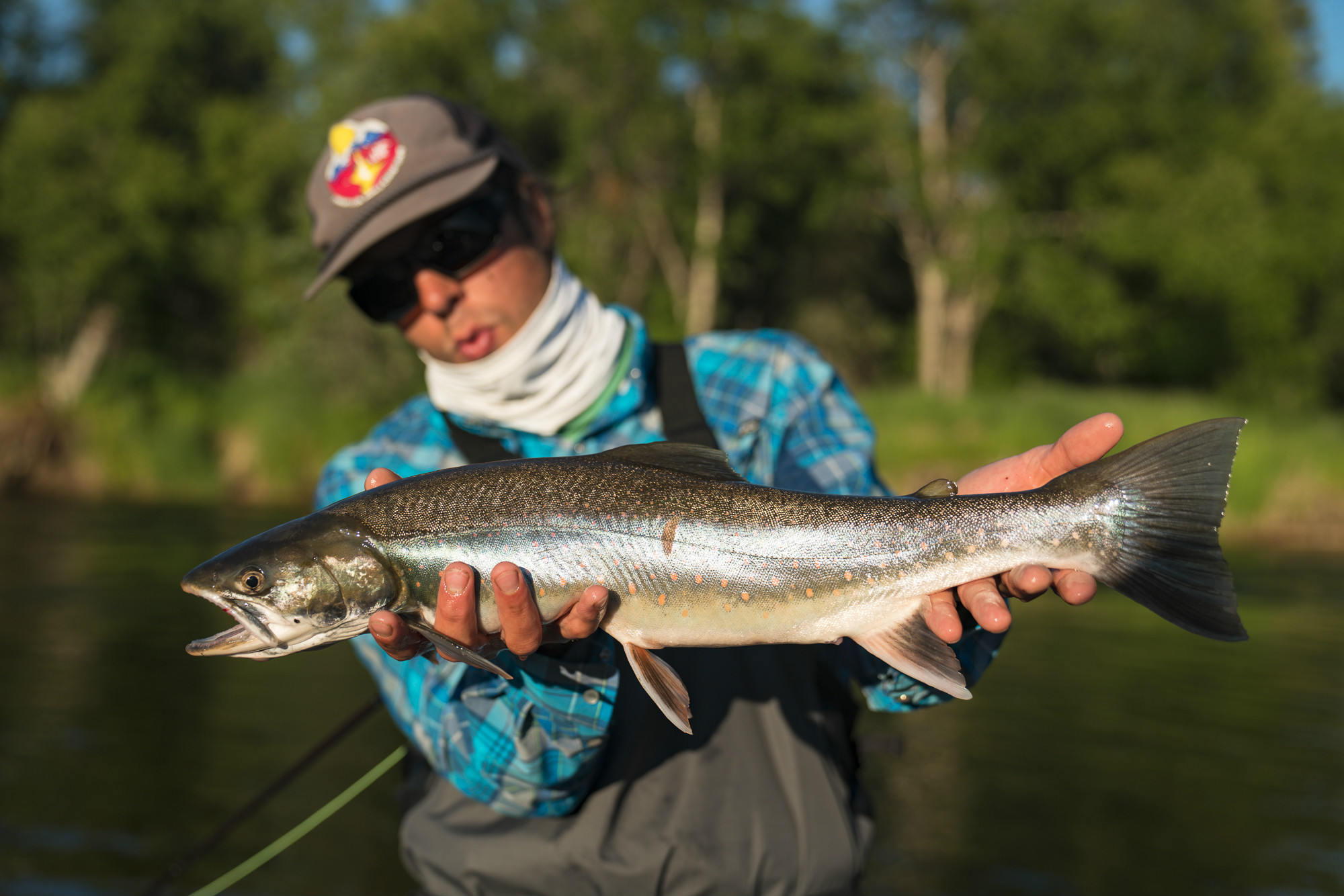 What Lies Beneath the Koktuli River - Alaska Grizzly Safaris