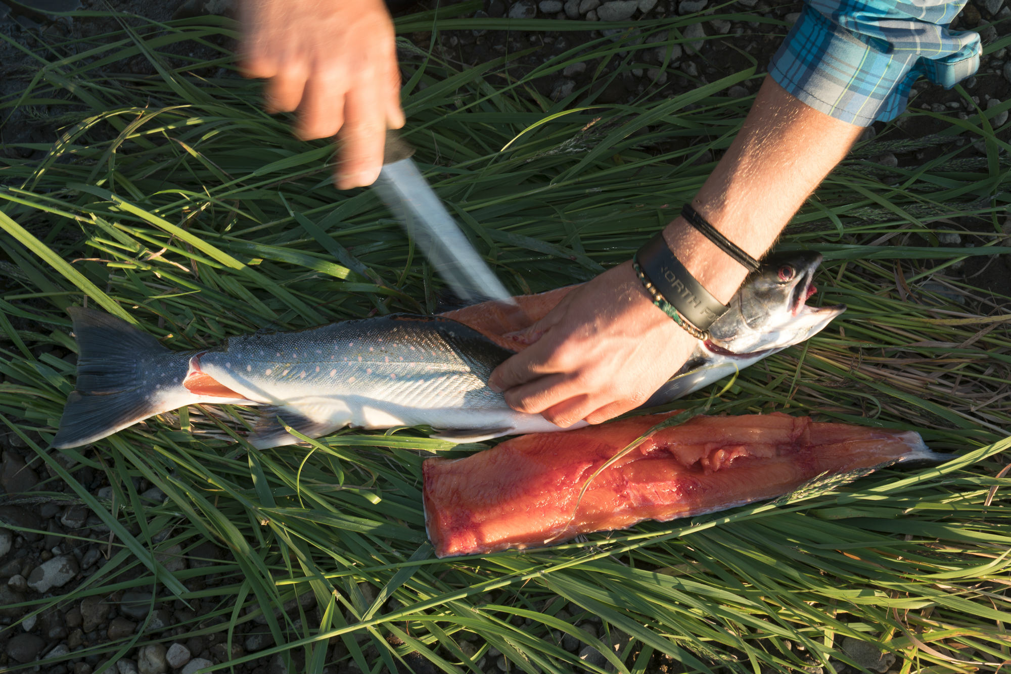 What Lies Beneath the Koktuli River - Alaska Grizzly Safaris