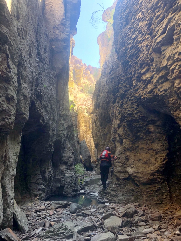 The Owyhee Bruneau Canyonlands All Forks Sabbatical | Duct Tape Diaries ...